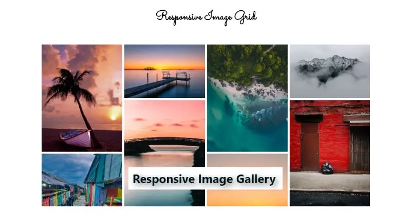 How To Create Responsive Image Gallery Using Html Css Coding With Nick